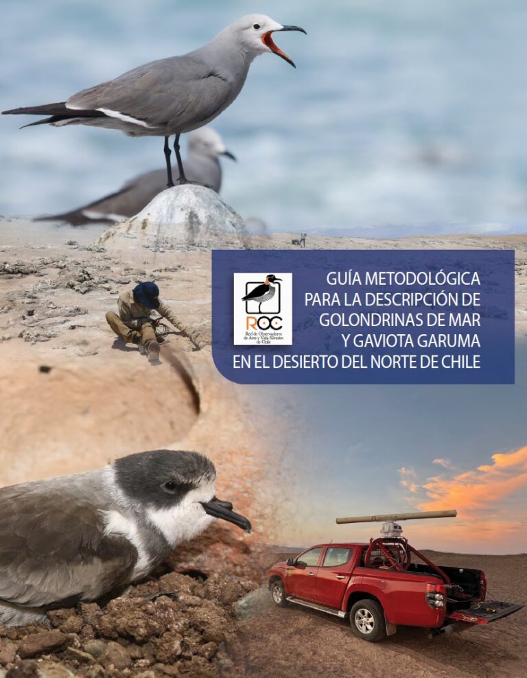 Guía metodológica para la descripción de golondrinas de mar y gaviota ...